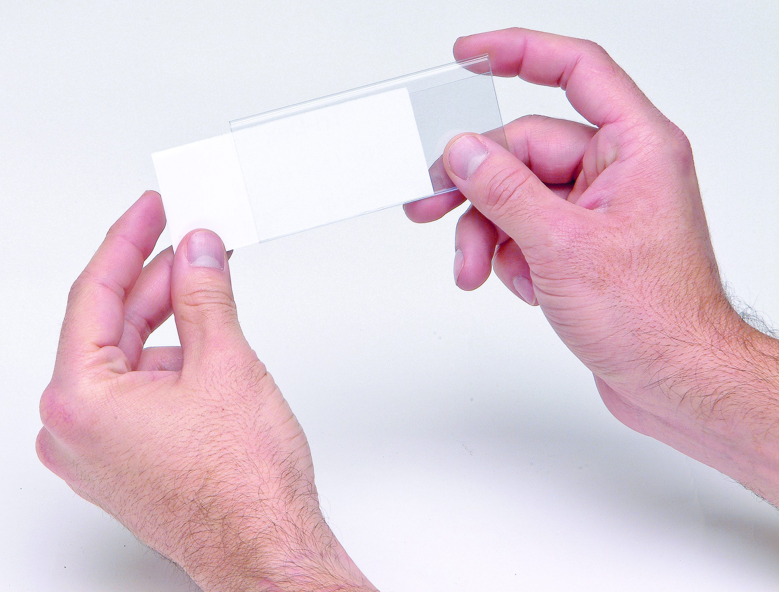 Quantum Label Holders, Clear, With Laser Label Inserts (25 Per Pack ...